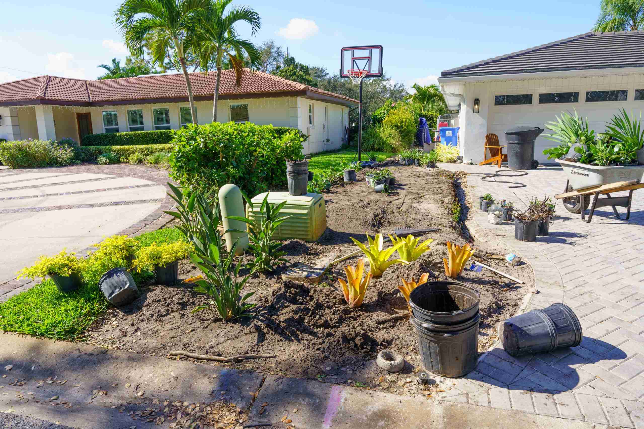 Drainage Solutions: Protecting Your Landscape from Florida's Heavy ...