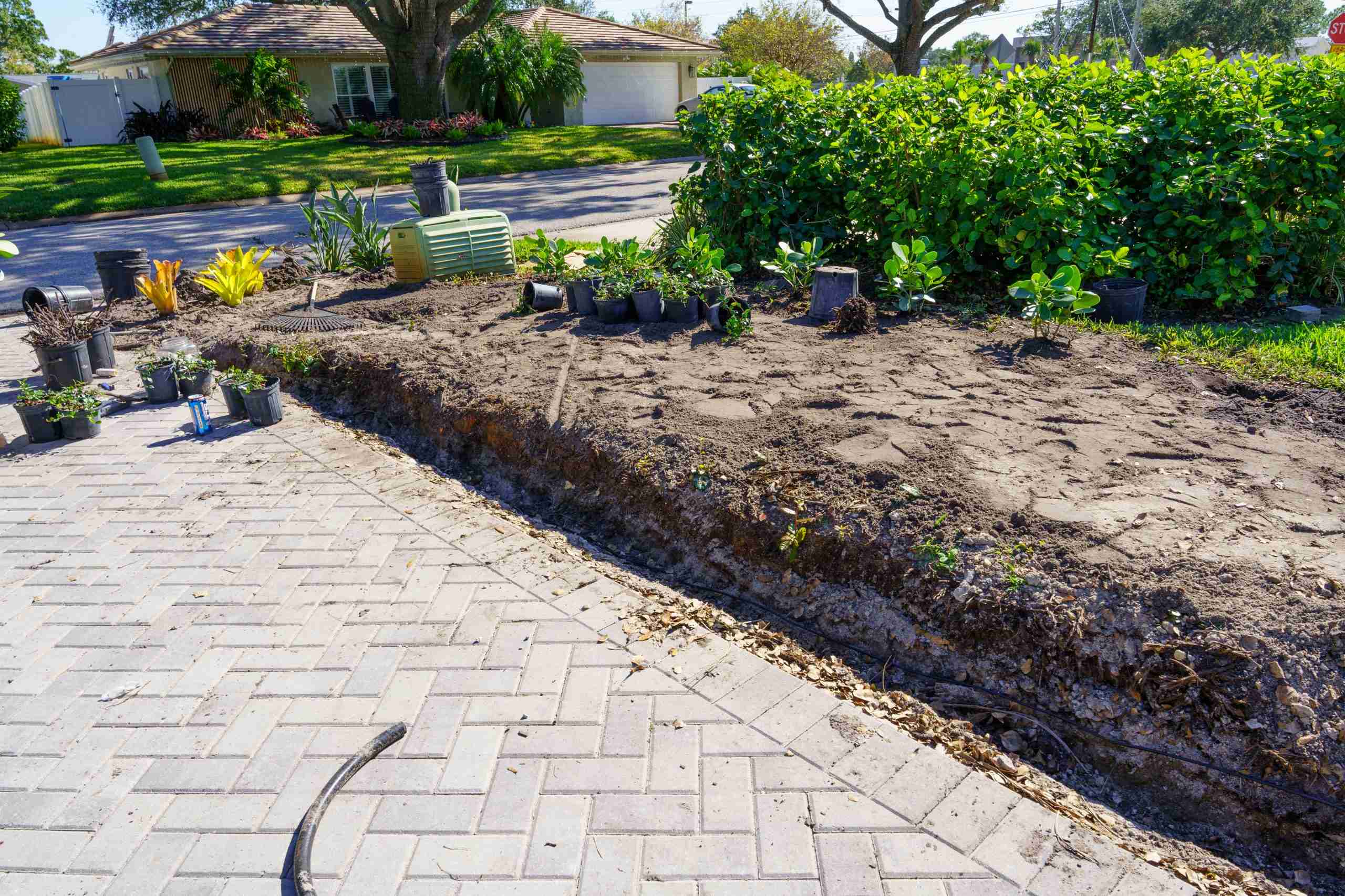 Drainage Solutions: Protecting Your Landscape from Florida's Heavy ...