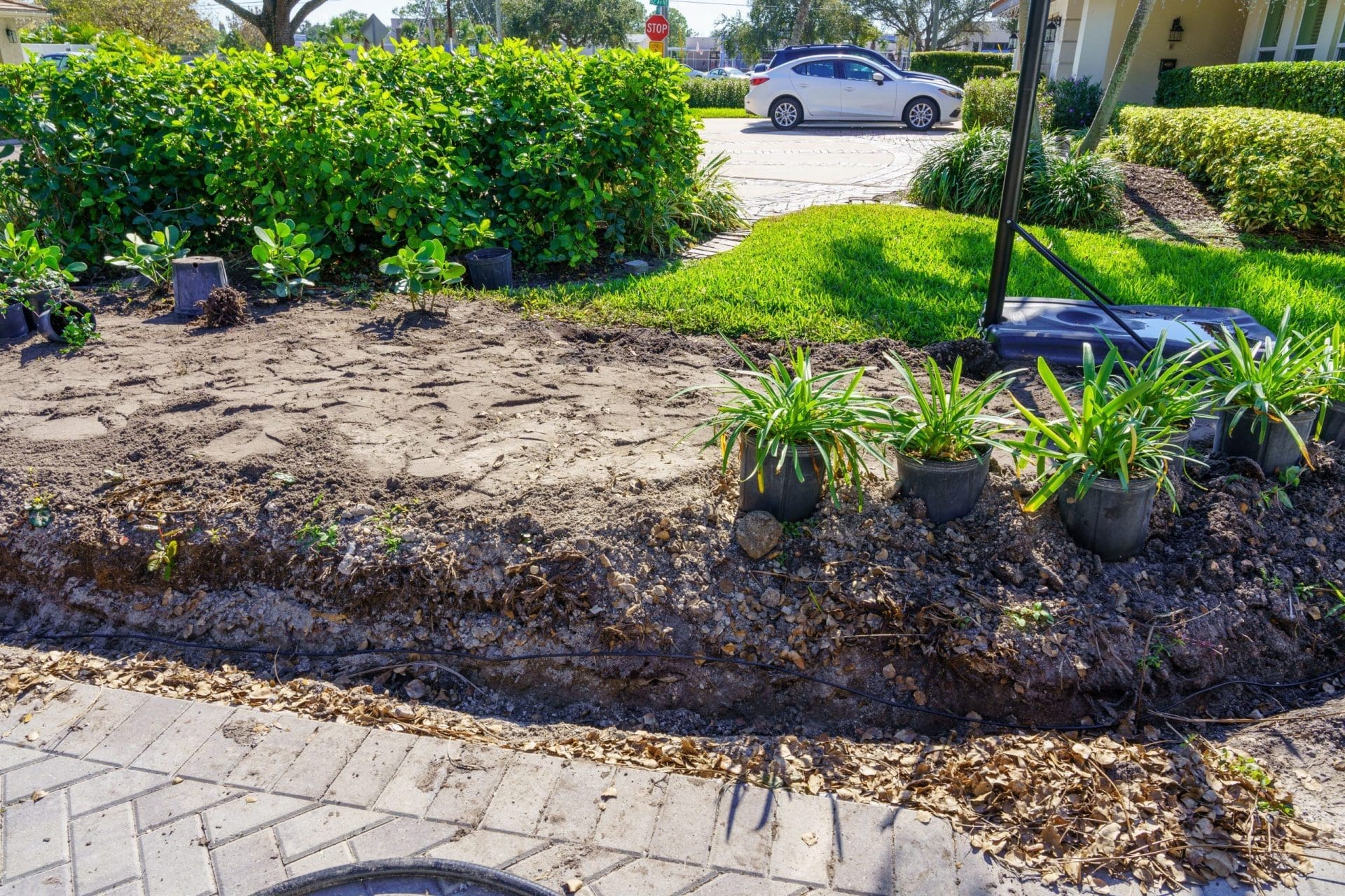 Guide to Seamless Integration of Drainage in Florida Landscaping for ...